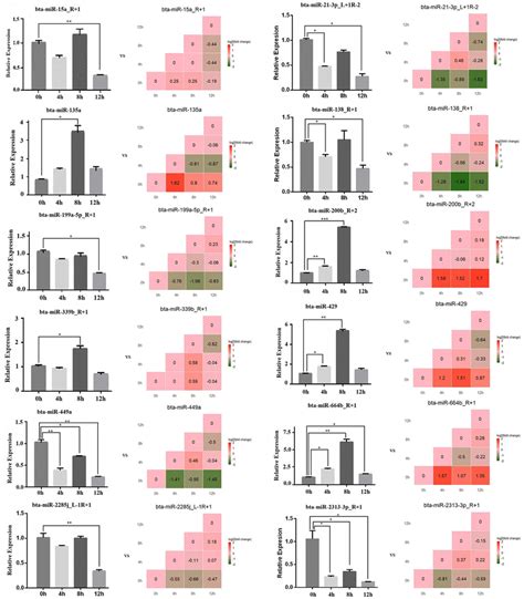 The Relative Expression Level Of Microrna By Qpcr The Bar Graph Is