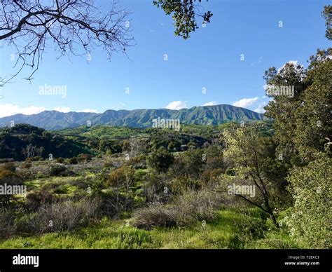 Clear Beautiful Weather And Lush Green Vegetation Due To Huge Amounts