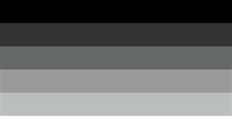 Heterosexual Pride Flag V2 By Robert Banach