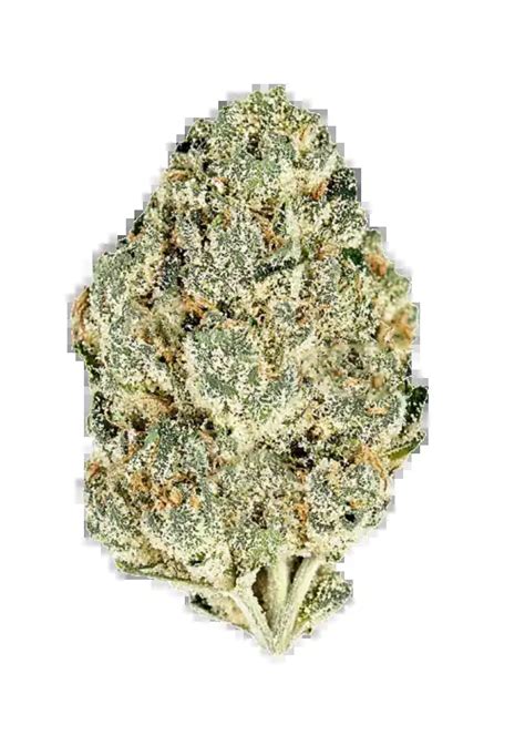 Gello Cannabis Strain Information Growdiaries