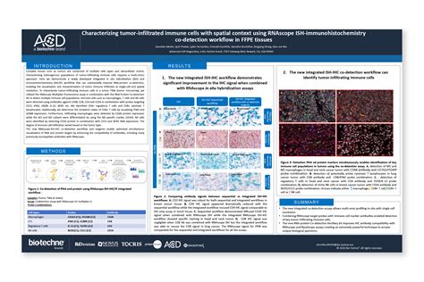 Characterizing Tumor‐infiltrated Immune Cells With Spatial Context Rnascope™ Ish Bio Techne