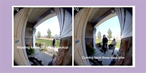 Msafp Maternal Serum Alpha Fetoprotein Screening Definition And Explanation For Mothers