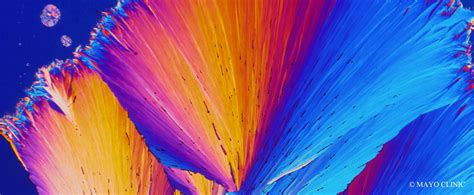 The John M Nasseff Tower Mayo Clinic Alumni Association Facebook