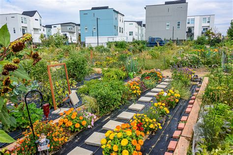 Cultivating Community Resilience And A Sustainable Future Through