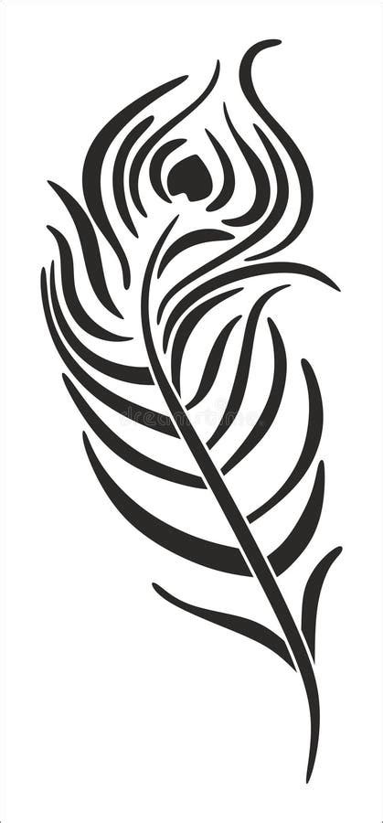 Peacock Feather Design Pattern Vectors Stock Vector Illustration Of