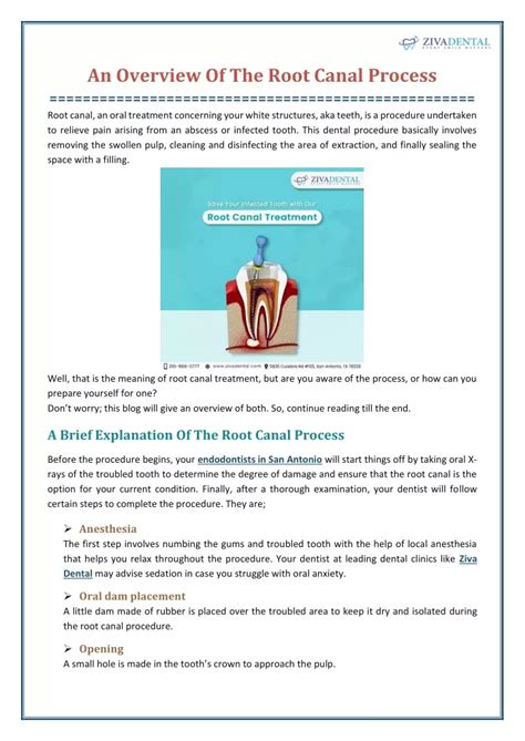 Ppt An Overview Of The Root Canal Process Powerpoint Presentation