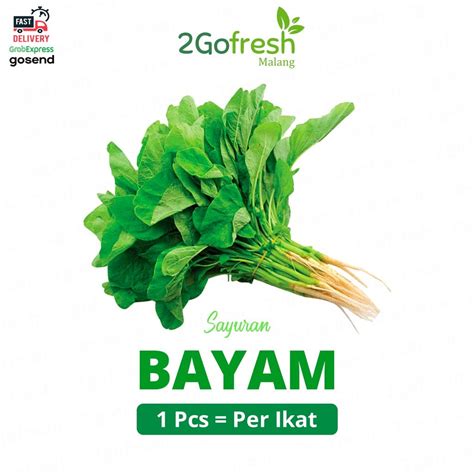 Jual Sayur Bayam Bayem Spinach Fresh Sayuran Shopee Indonesia