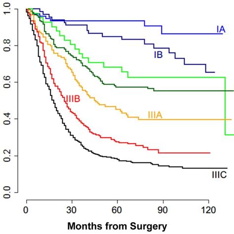 Calibration Plots For The Mskcc Nomogram In Chinese Cohort On The Download Scientific Diagram