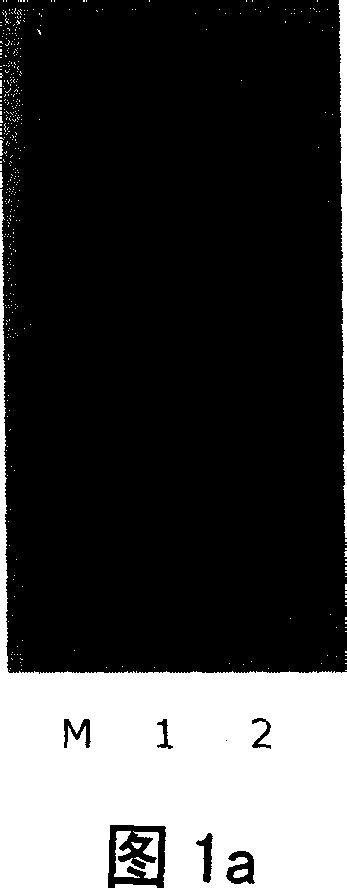 Compositions Monovalent For Cd40l Binding And Methods Of Use Eureka
