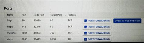 Kubernetes Unable To Port Forward In Private Gke Cluster Stack Overflow