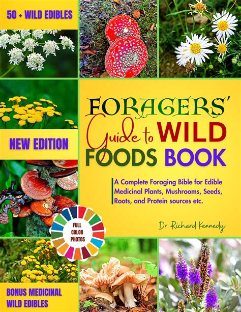 Foragers Guide To Wild Foods Book A Complete Foraging Bible For