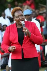 Kiraitu Murungi Biography Age Wife Education Career Salary Net