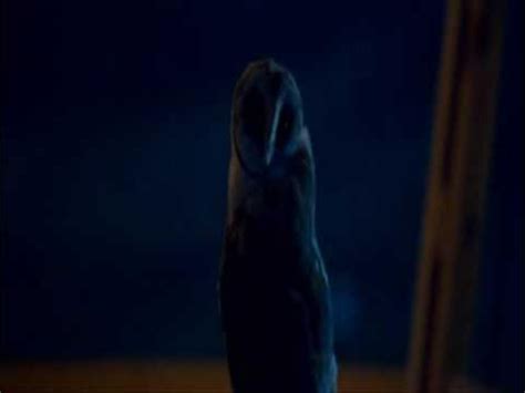 The Fourth Kind Owl Scene Youtube