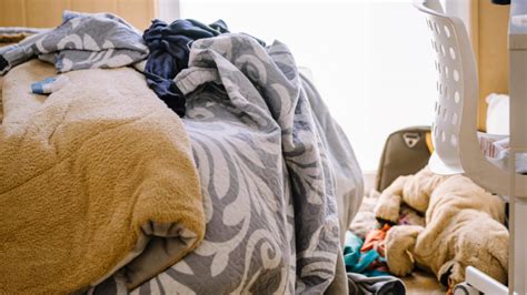 Compulsive Hoarding Disorder Awareness Week A First In Quebec