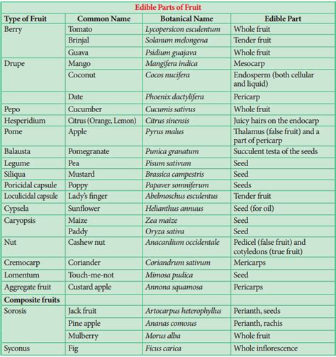 Fruits Structure Of Fruits And Its Types