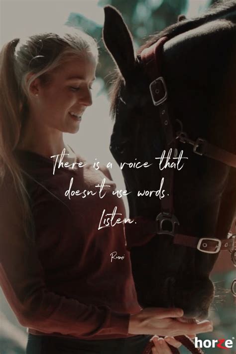 Endless Love ♥️ Horse Quotes Inspirational Horse Quotes Horse