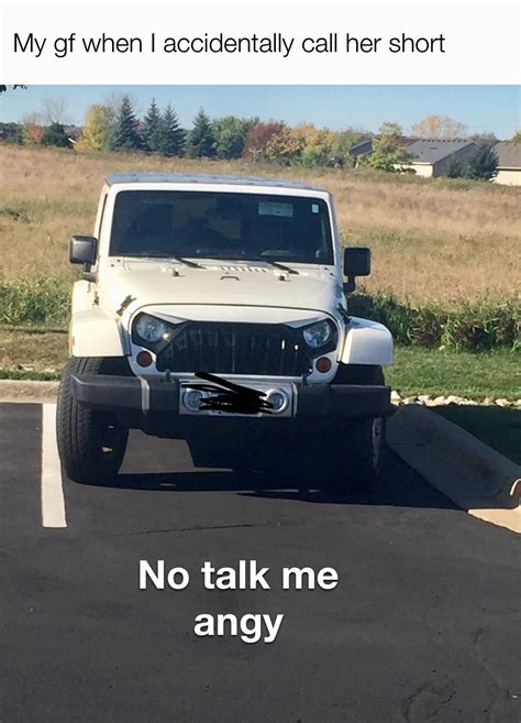 Oopsie Daisie R Meme