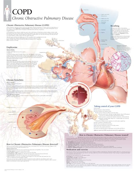 Copd Scientific Publishing