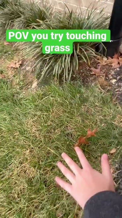 Dont Touch Grass Youtube