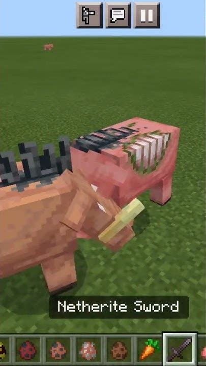 Minecraft Hoglin Vs Zoglin Youtube