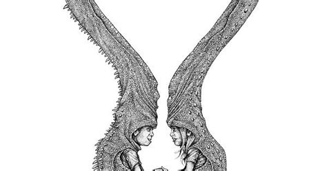 Brachiosaurus Album On Imgur