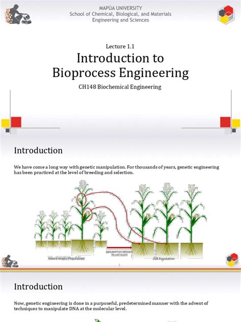 11 Introduction To Bioprocess Engineering Pdf Biotechnology Engineering