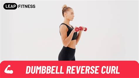 Dumbbell Reverse Curl