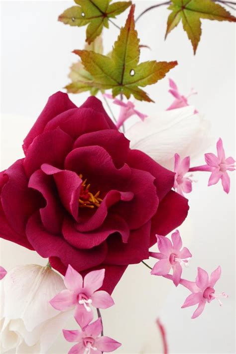 Ruby Cake Cake By Zdenek Cakesdecor