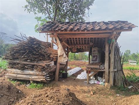 Konstruksi Bangunan Bambu Tangguh Bencana