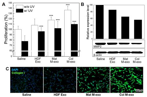 Cosexo™ Exosome Milk Creative Biostructure