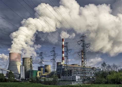 Effects Of Thermal Pollution