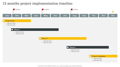 Financial Evaluation Report 12 Months Project Implementation Timeline