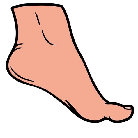 Images De Orteil Dessin Téléchargement Gratuit Sur Freepik