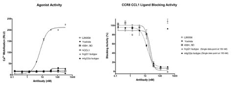 Development Of Ccr8 Antibodies As A Hot Target For Immuno Oncology