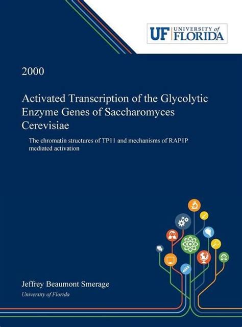 Activated Transcription Of The Glycolytic Enzyme Genes Of Saccharomyces