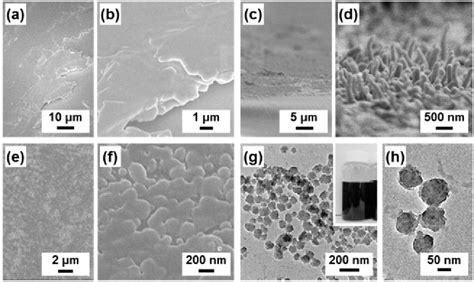 Figure 3 From Substrate Coating By Conductive Polymers Through Spontaneous Oxidation And