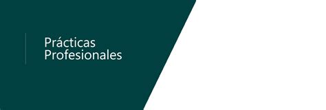 Error De Fechas Prácticas Profesionales De La División De Ciencias Básicas