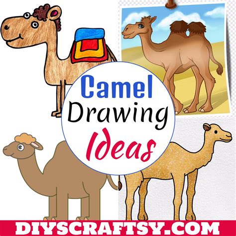 24 Easy Camel Drawing Ideas How To Draw The Camel Diyscraftsy