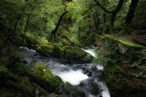 Stock Ghyll Force By Scrimmy Ephotozine