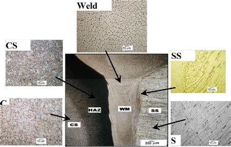 Macro And Microstructures Of The Weld Metal Haz And Bm Of Cs And Ss