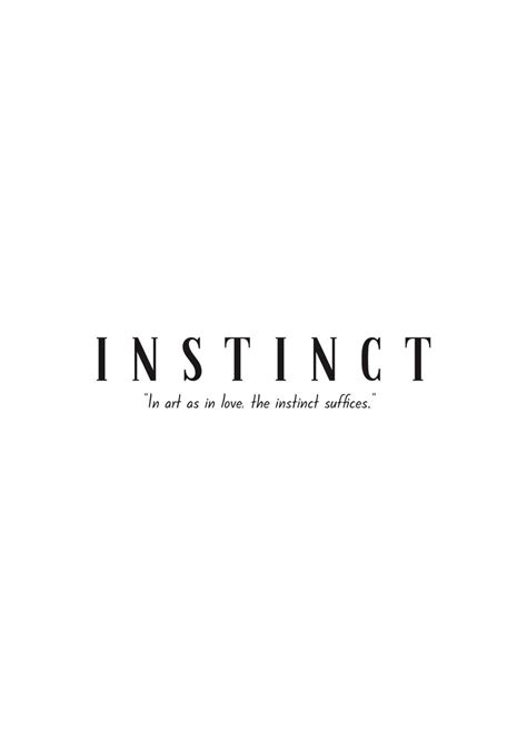 Instinct Brand Caransebes