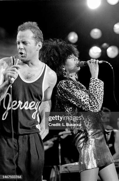 1805 June Pointer Photos And High Res Pictures Getty Images