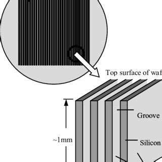 Sliver® Wafer Long Thin Silicon Slices Are Supported By The Wafer