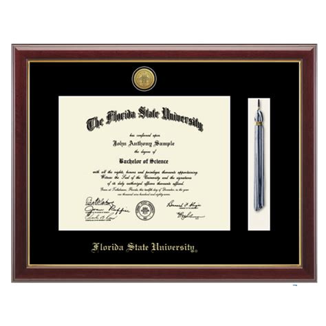 Church Hill Classics Gold Medallion Tassel Edition Diploma Frame Gal