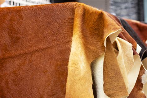 Berpakaian Dari Kulit Sapi Bahan Eko Buatan Foto Stok Unduh Gambar