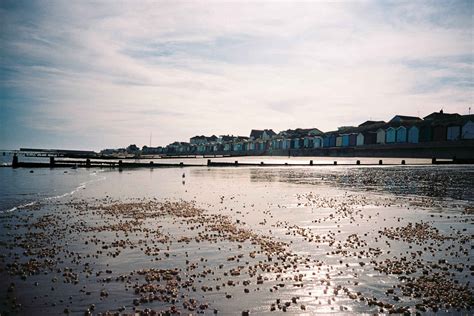 The Progressive Authoritarian Tide Retreats Daily Telegraph Nz