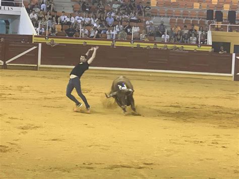 Primer Toro En El I Congreso Nacional De Toro De Cajón 2024 Fotos Y Video Illescas Al Día