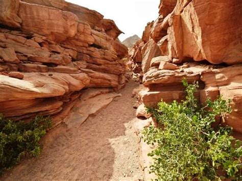 كهوف وادي غزالة قبلة عشاق الصحراء في محمية طابا صور مصراوى