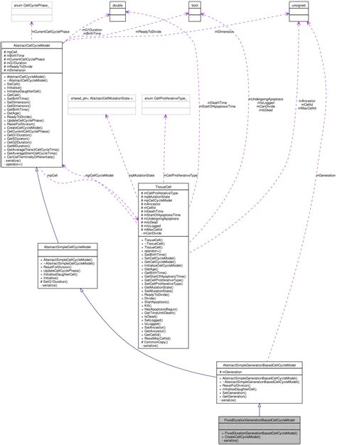 Chaste Fixeddurationgenerationbasedcellcyclemodel Class Reference