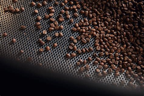 Coffee Processes What Are They Wogan Coffee